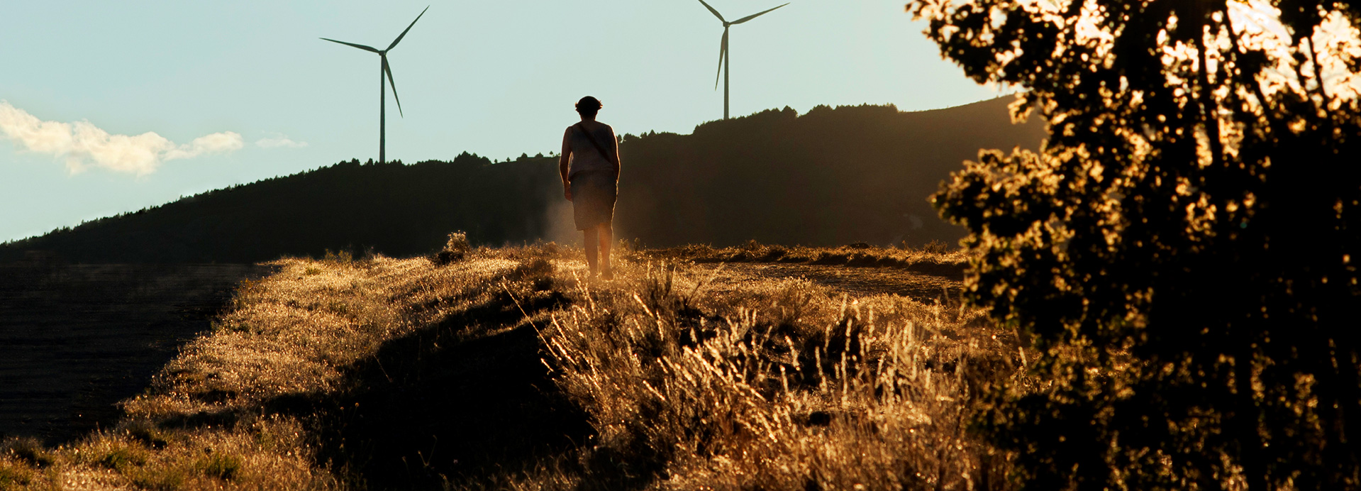 Campaign - Environmental Defence