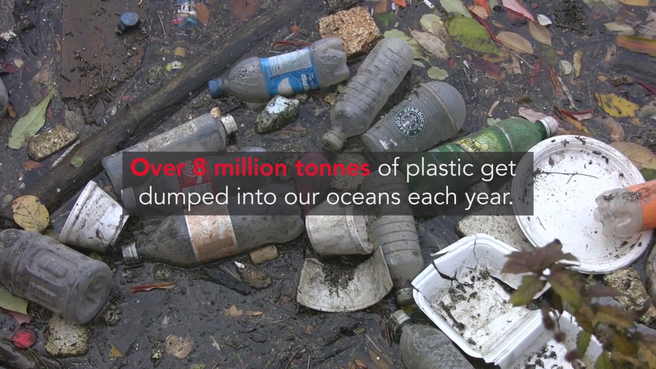 Canada's Plastic Pollution Problem - Watch the Video - Environmental ...