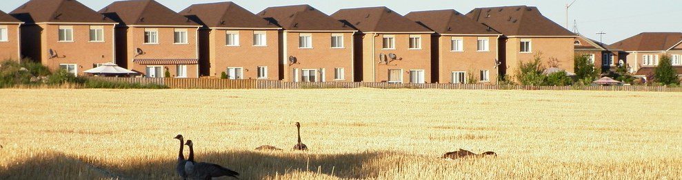 What Makes a Strong Environment Platform for your 905 or 519 ...