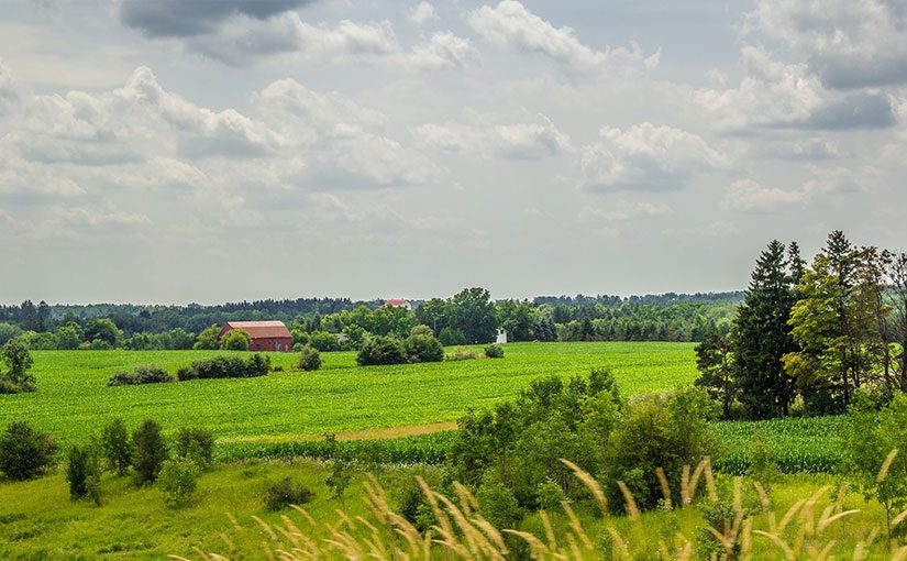 Passage of Bill 212 Leaves Canada’s Federal Government with No ...