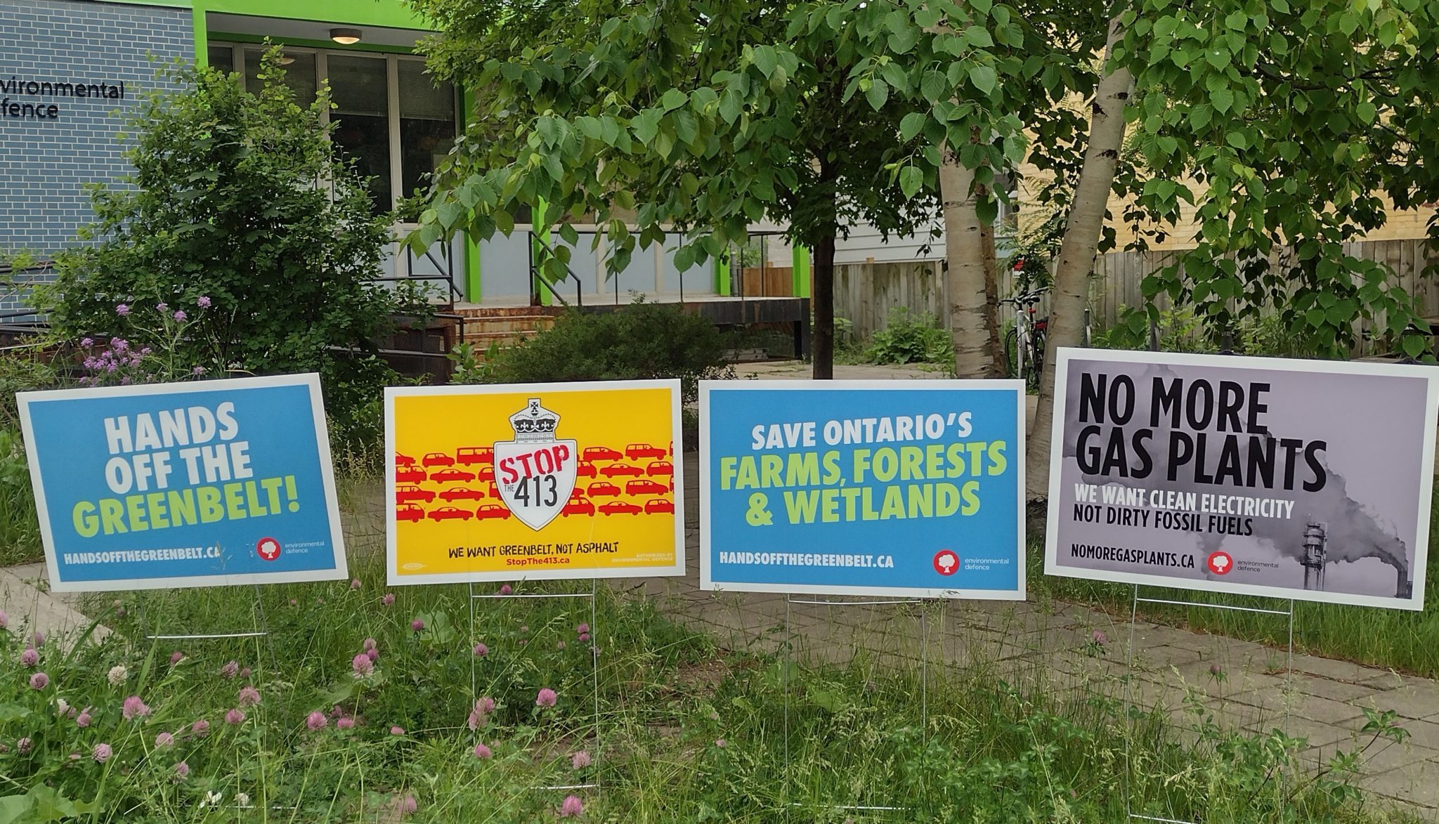 Which Toronto Mayoral Candidate Will Be Best for the Environment? One ...