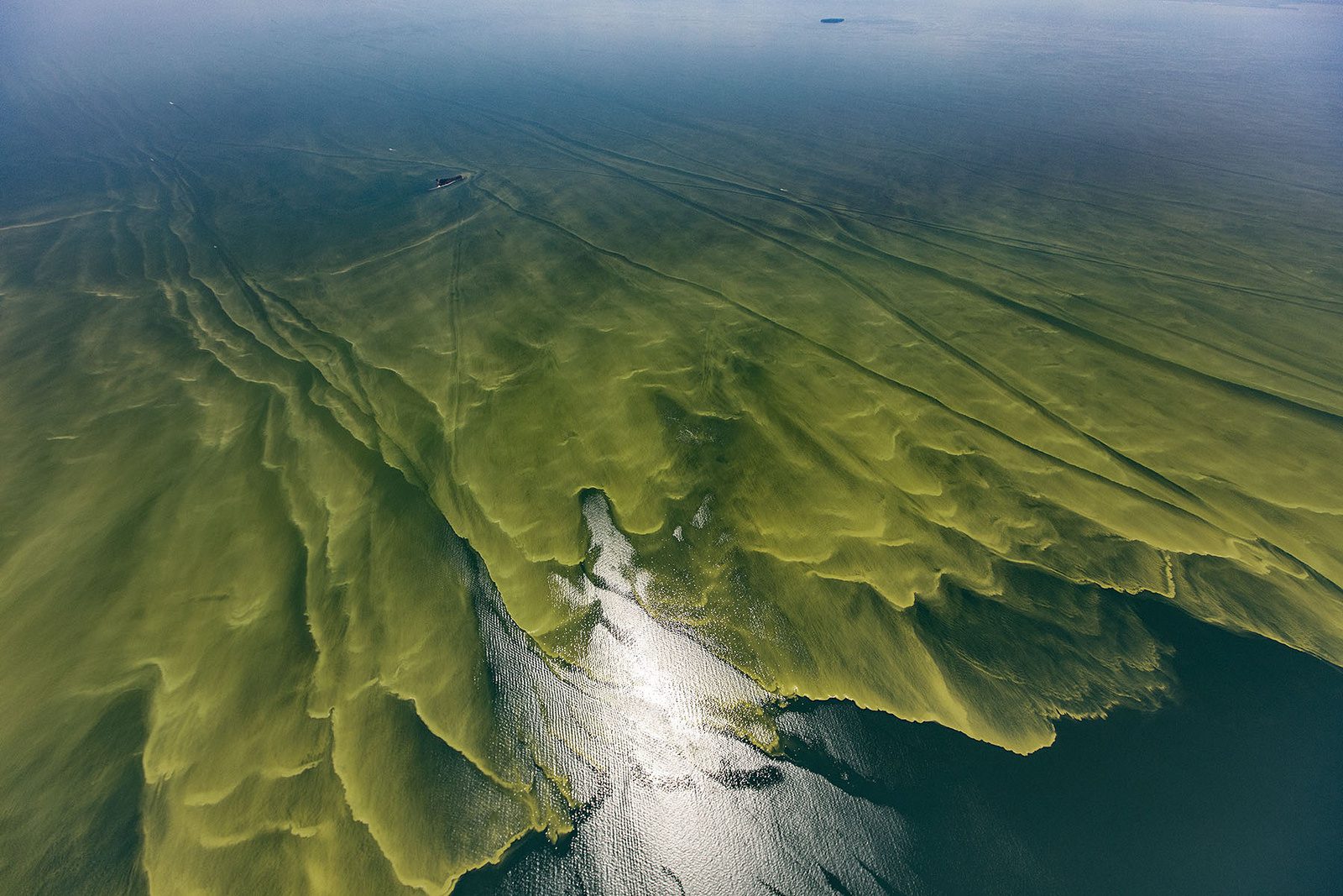 Statement on NOAA’s 2023 Harmful Algae Bloom Forecast - Environmental ...