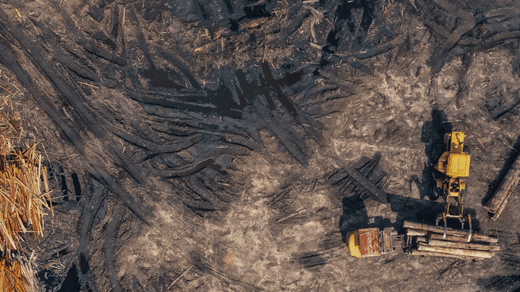 Auditor General's Report Shows that Sprawl MZOs Must be Revoked to ...