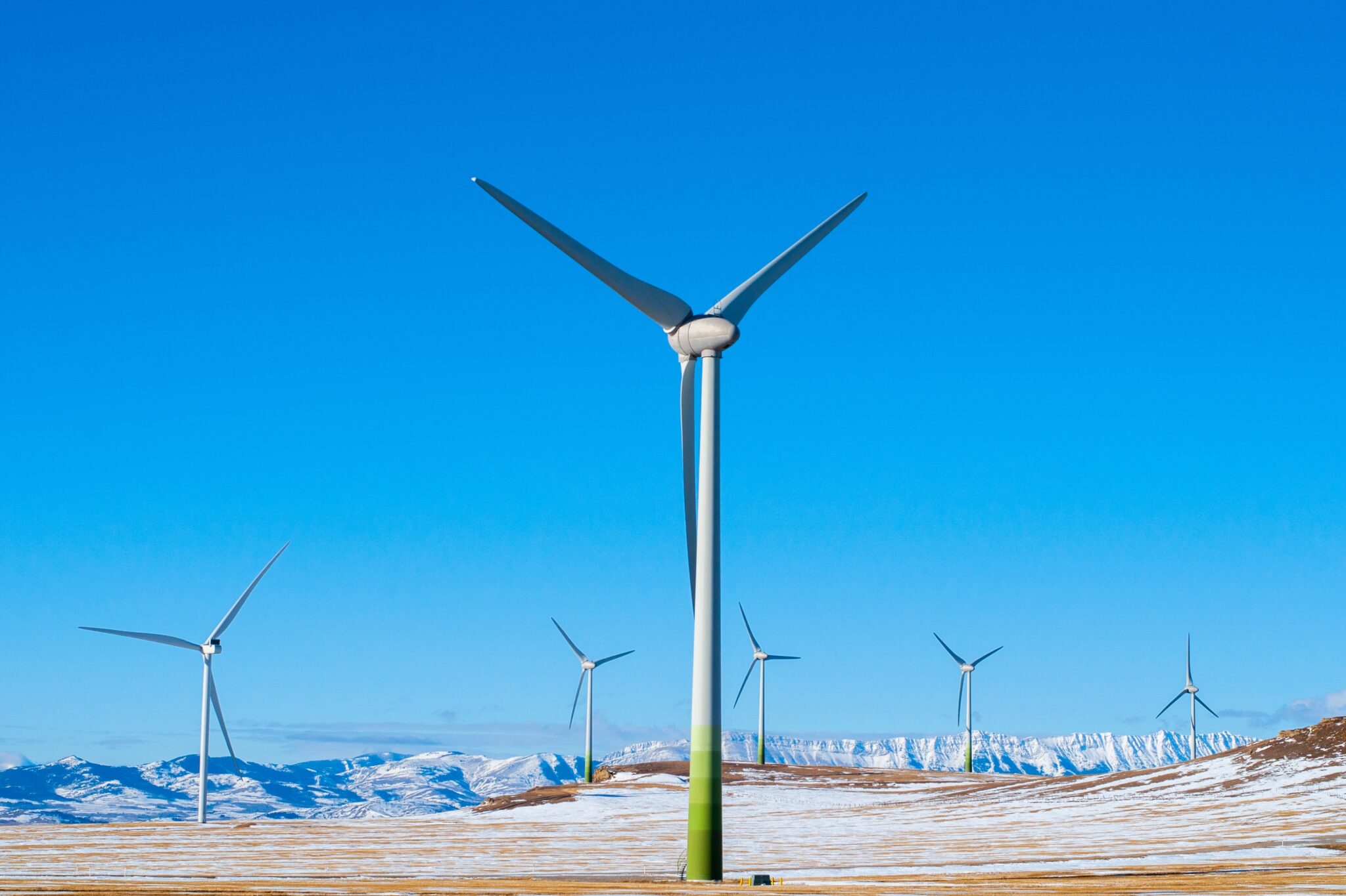 In Alberta, you don’t need a weatherman to know which way the wind ...