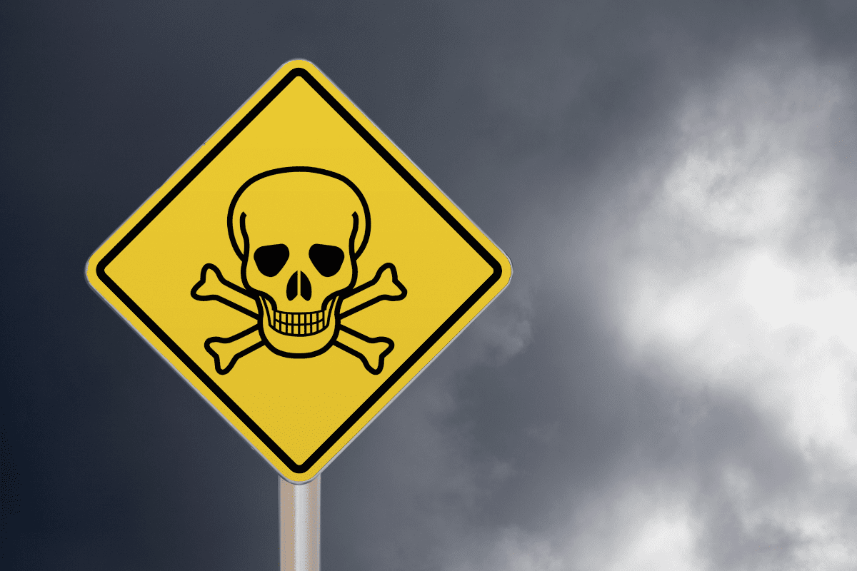 Statement: Federal Regulations Banning Certain Toxics Are a Welcome ...
