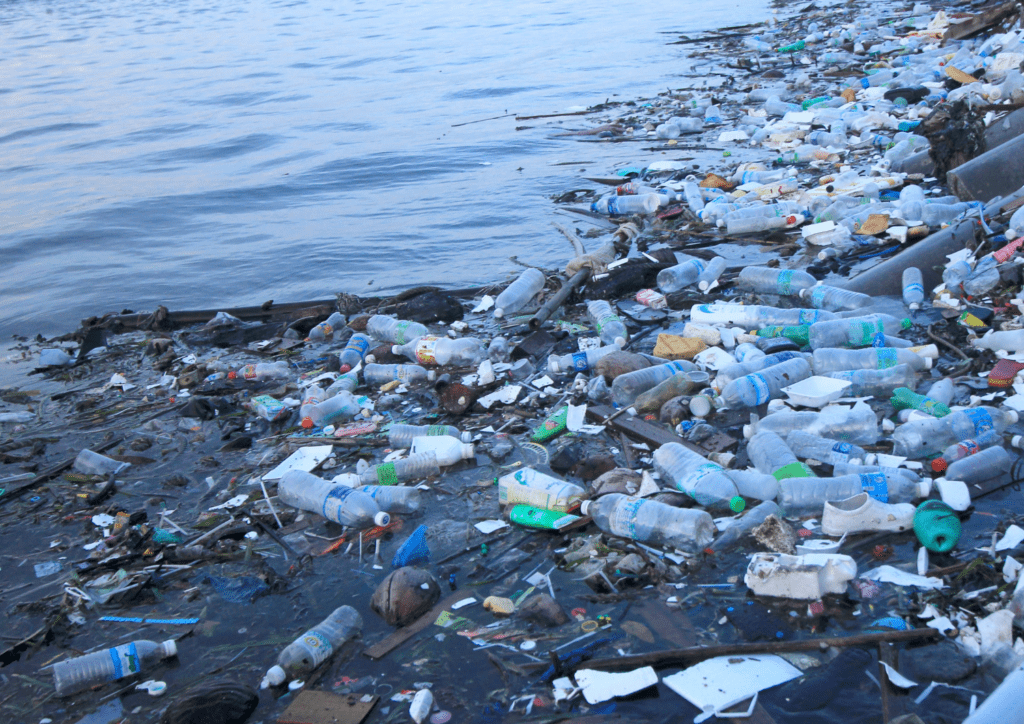 Statement: New Research Demonstrates Importance of Canada’s Single-Use ...